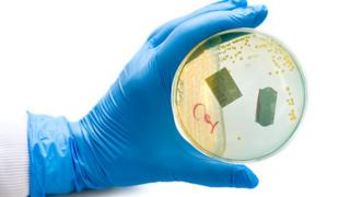 Hope for faster treatment of urinary tract infections - BBC News