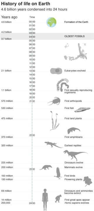 Earliest evidence of life on Earth 'found' - BBC News