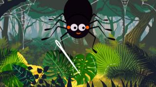 Finding Nemo... the spider! Is this the world's cutest spider? - BBC ...