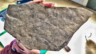 'Stunning' decorated Neolithic stone discovered in Orkney - BBC News