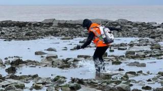 Rock pooling competition held in Somerset to find rare species - BBC News