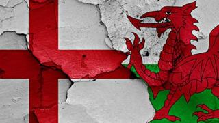 Newyddion a mwy - BBC Cymru Fyw