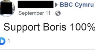 The real people pretending to be 'Boris bots' on Facebook - BBC News