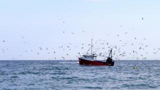 Brexit trade deal: Who really owns UK fishing quotas? - BBC News