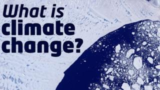 COP28: What is it and what can we expect to see happen? - BBC Newsround