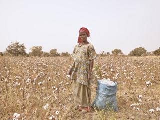 Meet the people of Tamba - BBC News