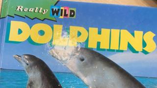 Library membership at 10-year high - Cornwall Council - BBC News