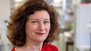 Richard III: How things have changed since we dug up a king - BBC News