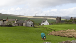 Wiston - Latest News, Headlines and Entertainment from the BBC