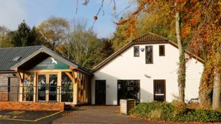 Hawk conservation trust receives grant - BBC News