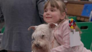 Crufts - BBC News