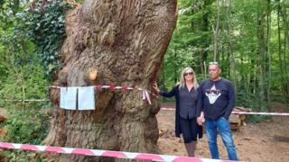 Toby Carvery oak tree felling: Anger and upset at scene of Enfield saga ...