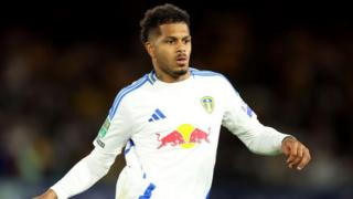 Sussex | Latest News & Updates | BBC News