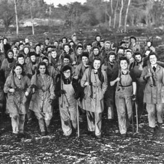 The Women's Timber Corps: Who were the 'Lumberjills' and what did they ...