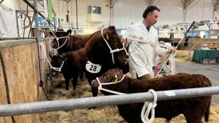 More than 95,000 expected to attend Devon County Show - BBC News