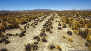 Inca Road: The ancient highway that created an empire - BBC News