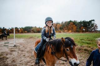 Horse riding: When did humans and horses first work together? - BBC ...