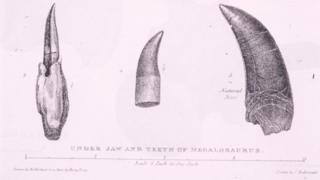 Oxford University celebrates 200 years of first dinosaur Megalosaurus ...