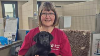 How Guide dogs made Leamington Spa its unofficial home - BBC News