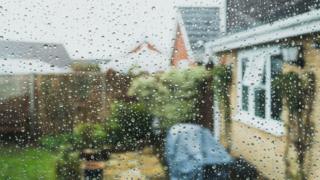 Autumn: Trees hold onto leaves for longer after wet weather - BBC Newsround