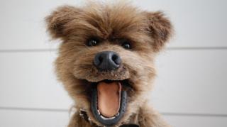 CBBC's Hacker T Dog celebrates 15 years on the TV - BBC Newsround
