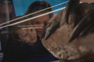 Colossal pliosaur sea monster skull on display in Dorset - BBC News