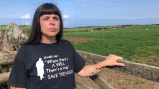 Row over sale plans for Cornwall's Trevalga estate - BBC News