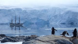 UK Antarctic base celebrates 80 years of research - BBC News
