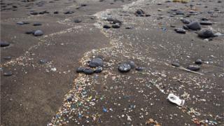 Microplastic debris on seabeds has tripled - BBC Newsround