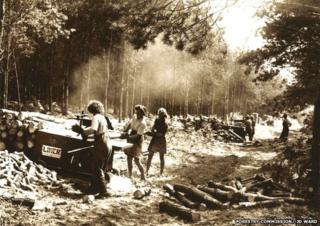 The Women's Timber Corps: Who were the 'Lumberjills' and what did they ...