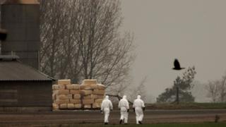 What is next for the 'bootiful' Bernard Matthews brand? - BBC News