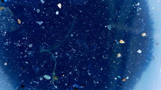 Plastic pollution: Could selling glitter soon be banned? - BBC Newsround