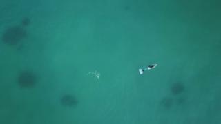 The Hebrides' wild swimming 'real-life' mermaid - BBC News