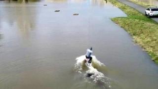 Reading's flooding was worst since 1947, report finds - BBC News