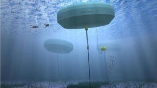 Cornwall's Wave Hub energy project yet to produce electricity - BBC News