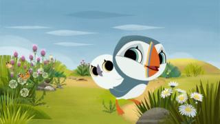 Puffin Rock - CBeebies - BBC