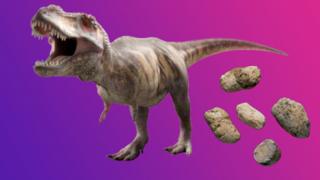 Ancient dinosaur poo reveals how they lasted so long - BBC Newsround