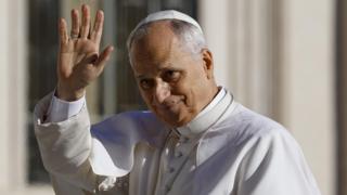 Pope Leo XIV: Pope appoints his first Irish bishop - BBC News