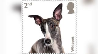Royal Mail stamps show off UK's favourite dogs - BBC Newsround
