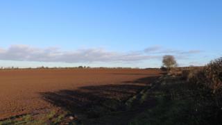New 7,000 tree Loughborough woodland set to be planted - BBC News