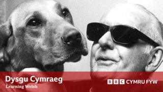 Newyddion a mwy - BBC Cymru Fyw