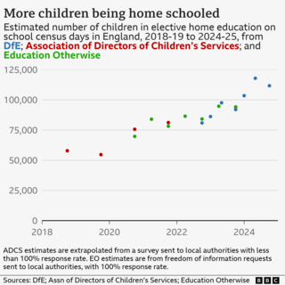 The parents who insist home-education is the answer for their children ...
