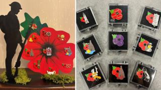Staffordshire-themed poppies to help Royal British Legion raise £100k ...