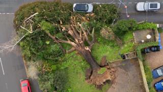 Storm Darragh: £17k raised for Leamington Spa dad hit by tree - BBC News