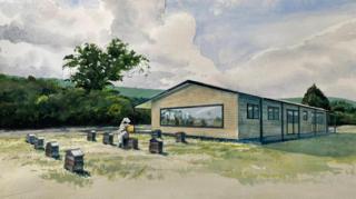 New 'bee paradise' near Blandford planned to boost conservation - BBC News