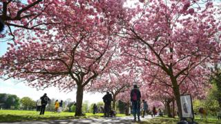 Spring equinox 2026: What is it and why are there different dates for ...