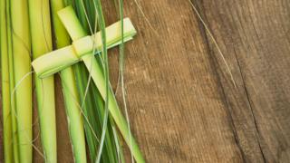 What is Holy Week? - BBC Newsround