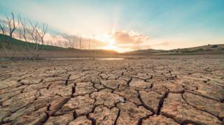 Drought explained: What is it, what causes it, and why it matters - BBC ...