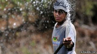 How rainwater harvesting is helping Nicaraguan farmers - BBC News