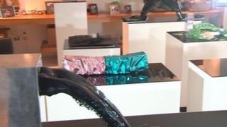 Eyal Gever: Israeli artist uses 3D printing for 'disaster' art - BBC News